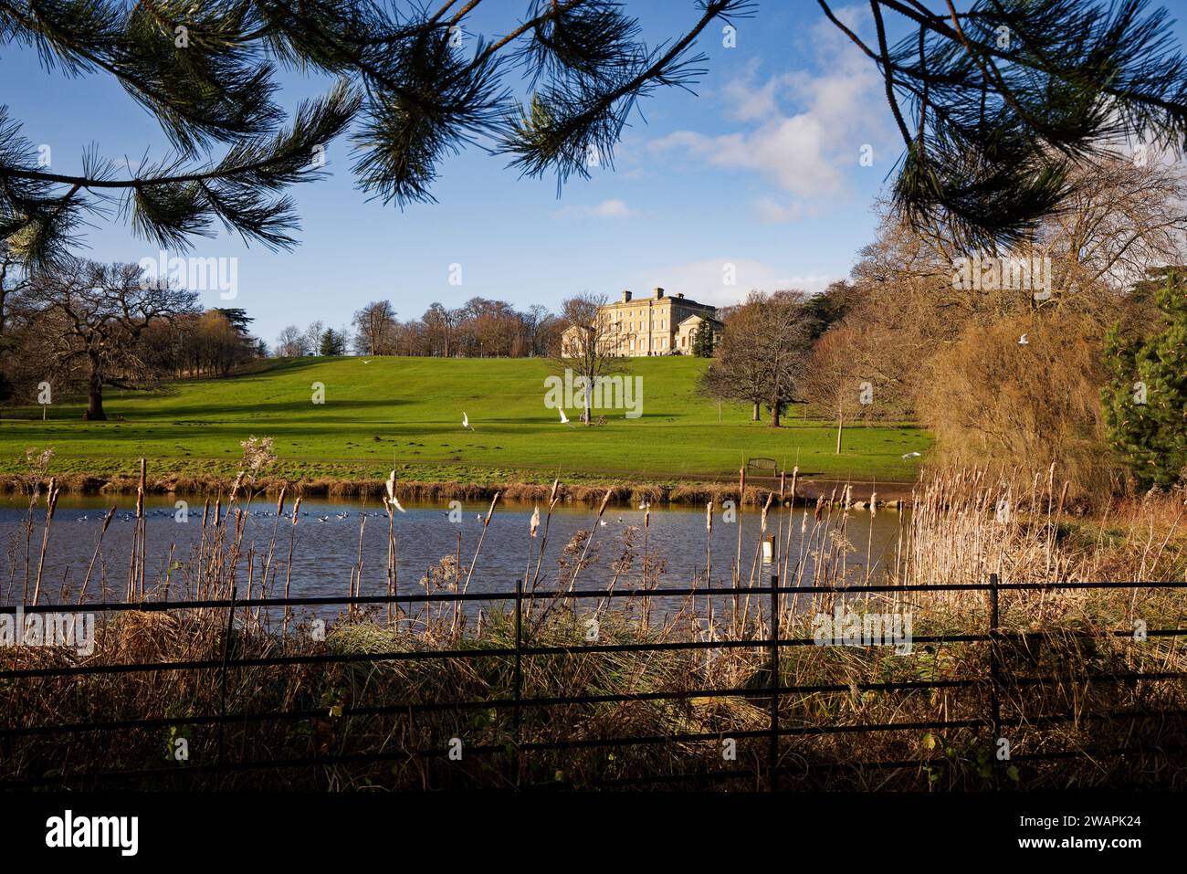 Doncaster mansion house hi-res stock photography and images - Alamy