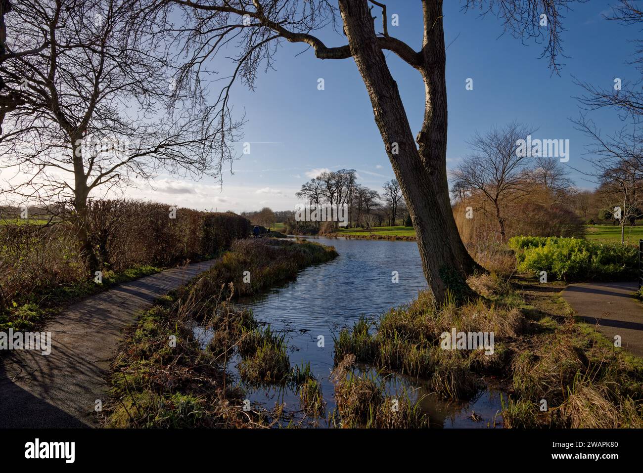 Lakeside path in Cusworth Hall Country Park, Doncaster, Yorkshire Stock ...