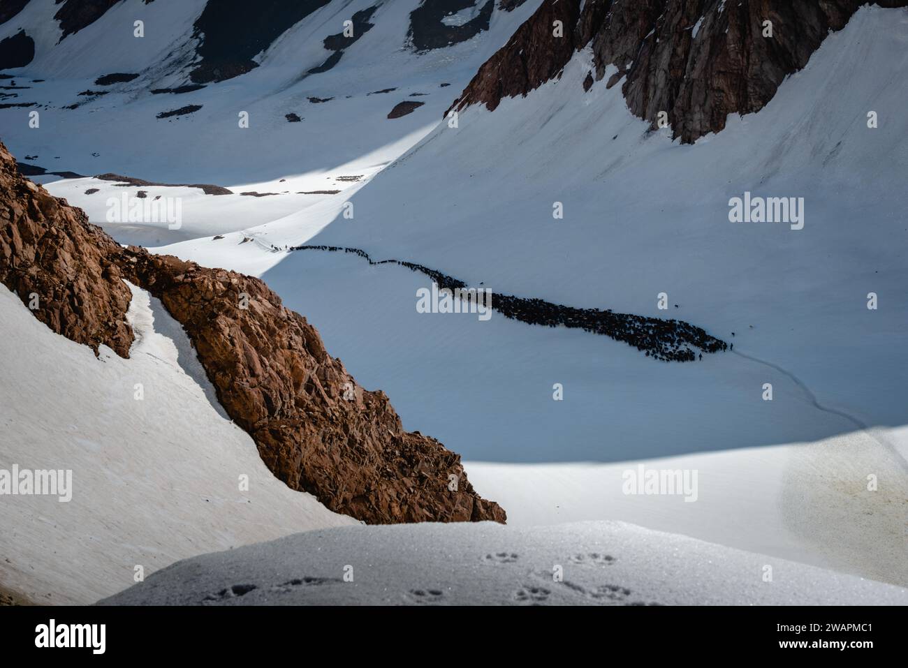 Early spring livestock migration through the high mountainous pass from ...