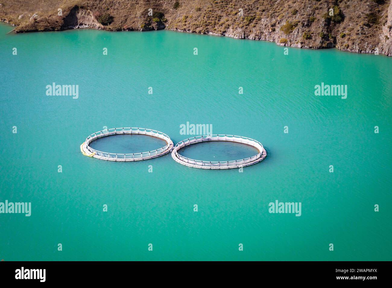 Fish stock replenishment hi-res stock photography and images - Alamy