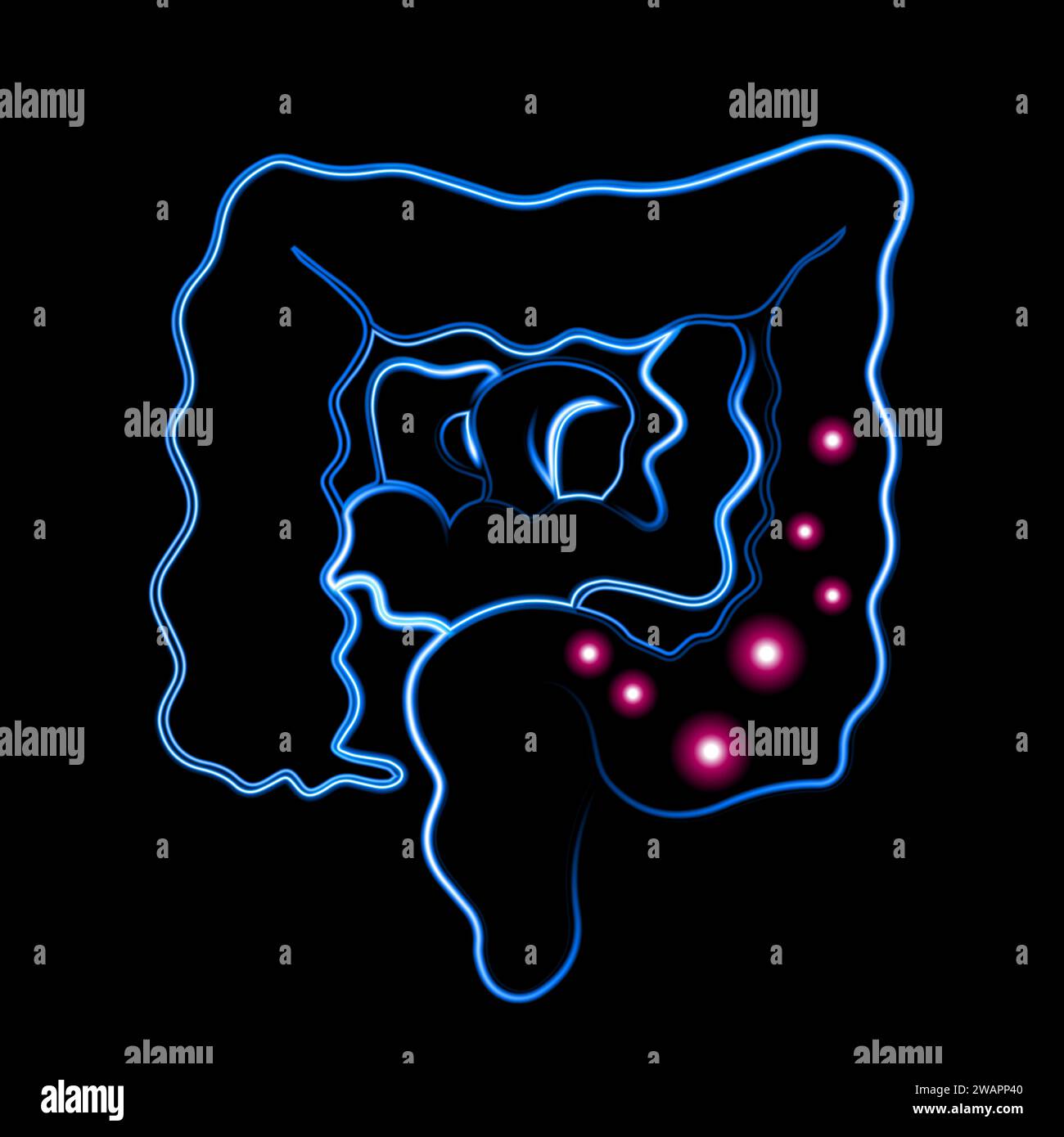 Neon small intestine icon hi-res stock photography and images - Alamy