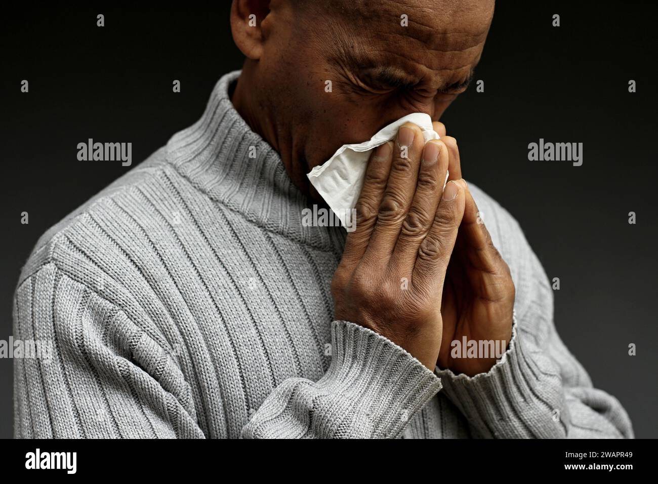 blowing nose after catching the cold and flu with grey background with ...