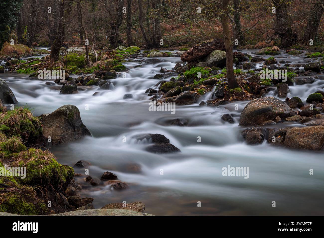 A picturesque outdoor scene featuring a stream in Garganta de Pedro ...