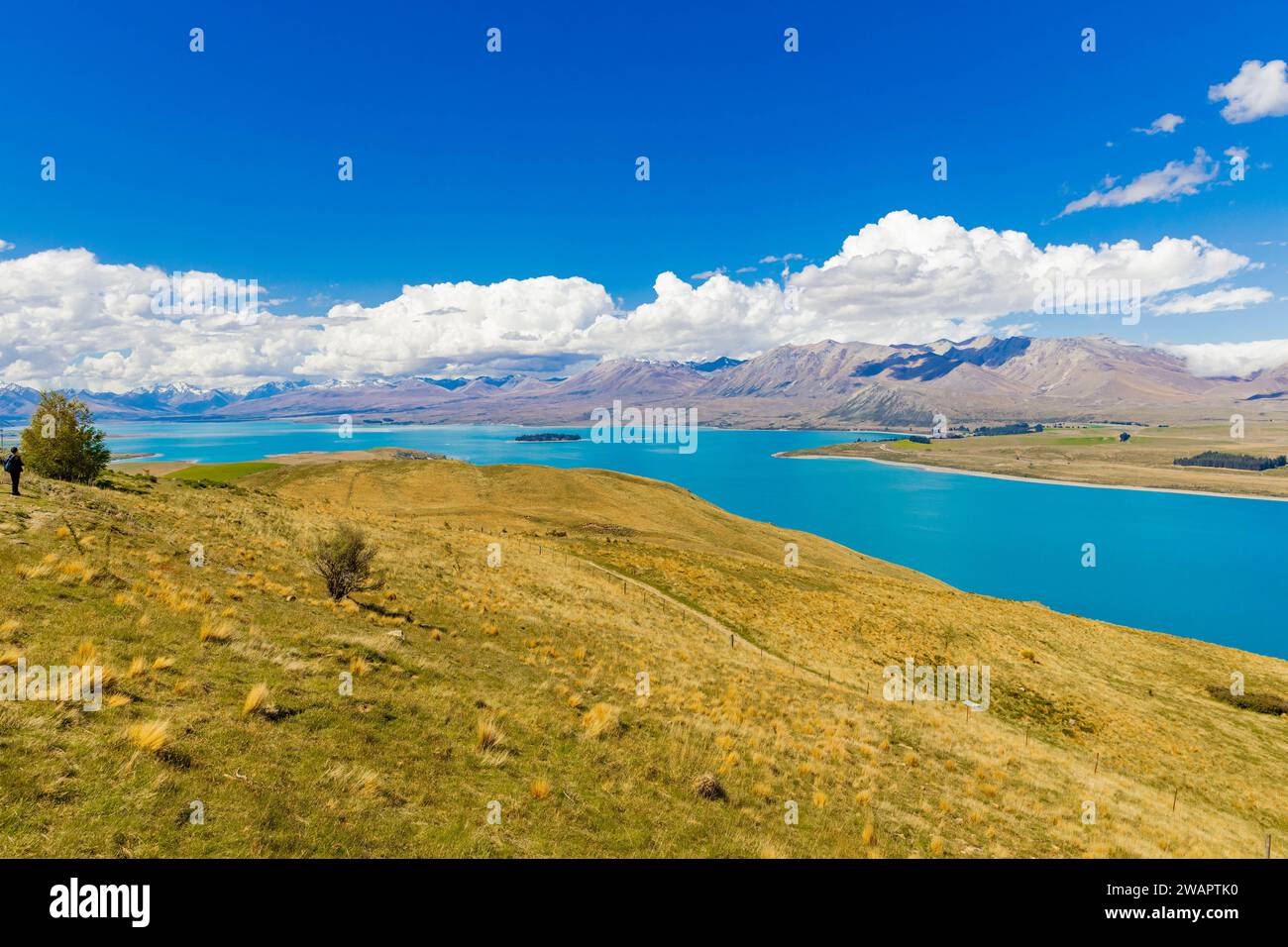 Aerial view lush green pastures hi-res stock photography and images - Alamy
