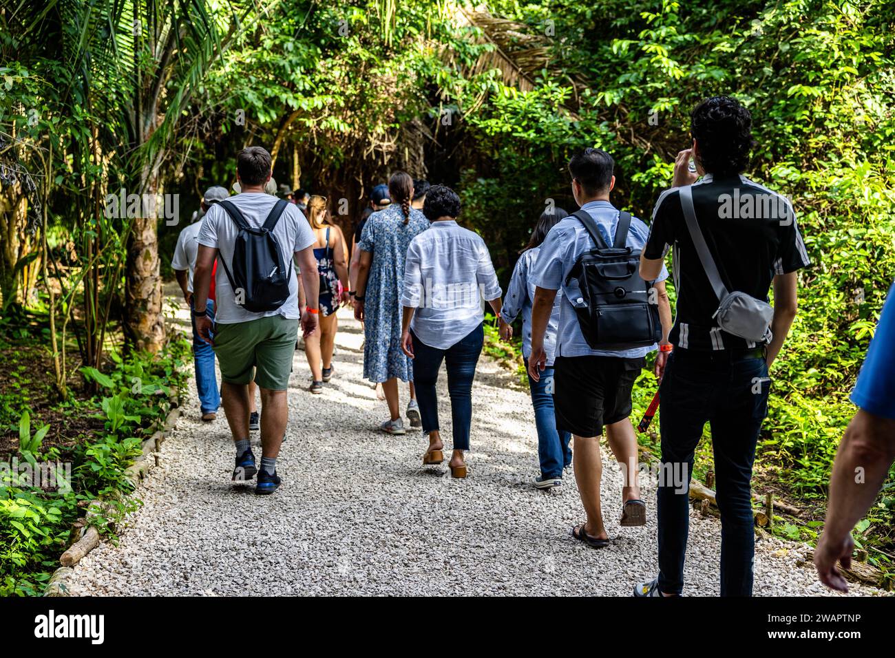A group of people walking along a scenic pathway surrounded by lush ...