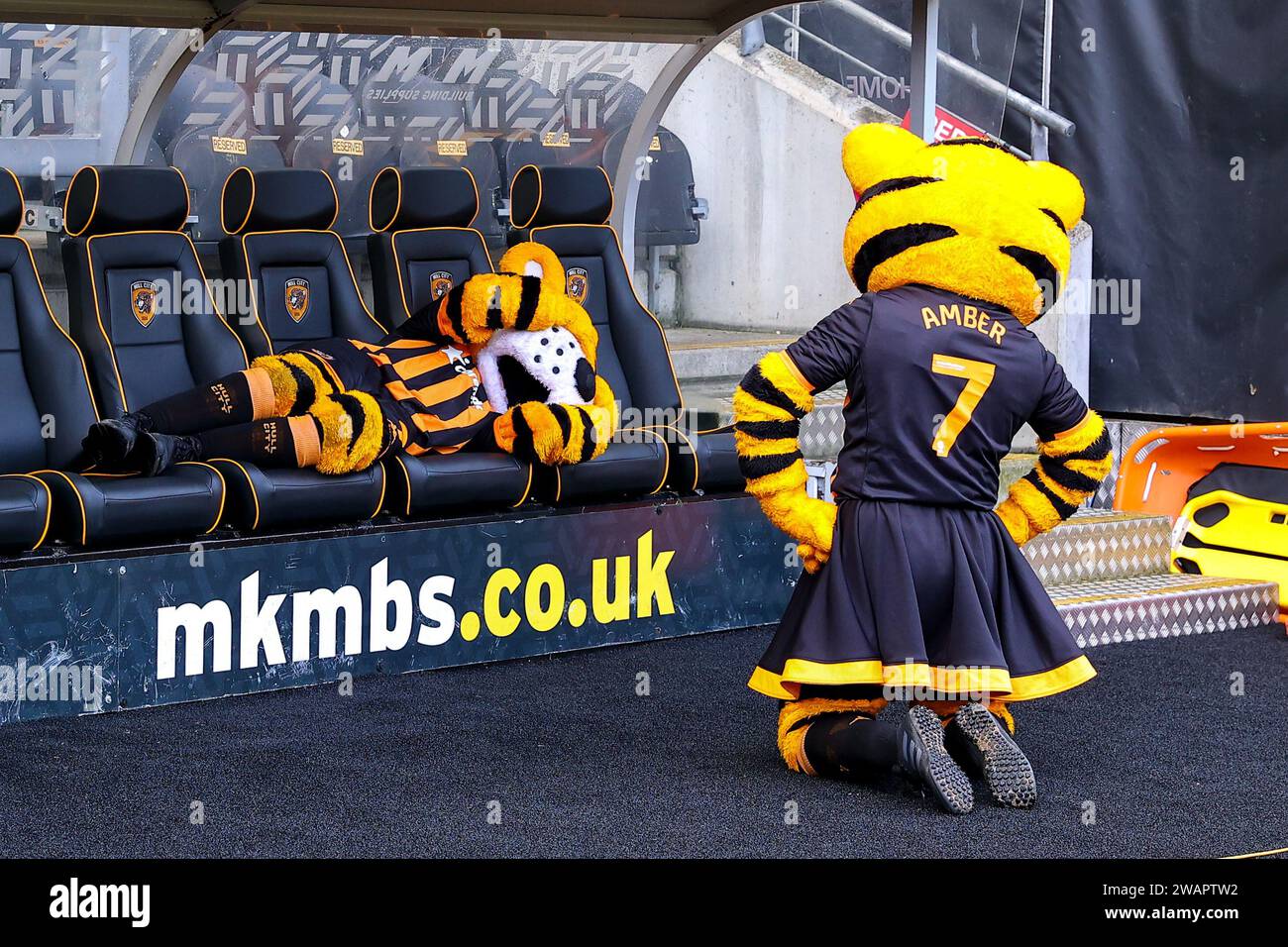 Hull City mascots Roary and Amber before the Emirates FA Cup Third ...