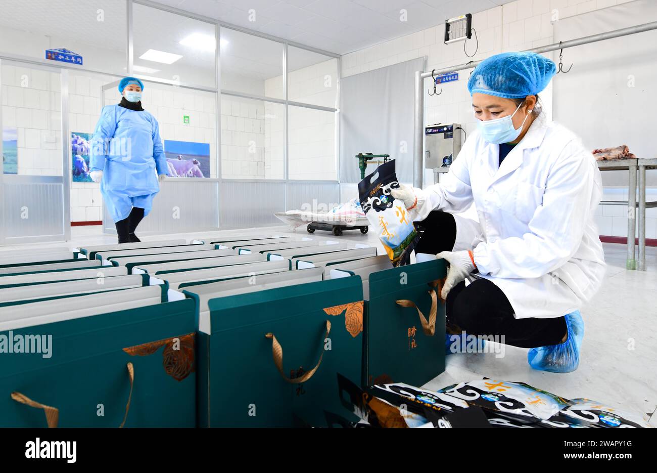 Ordos, China. 06th Jan, 2024. ORDOS, CHINA - JANUARY 6, 2024 - A ...