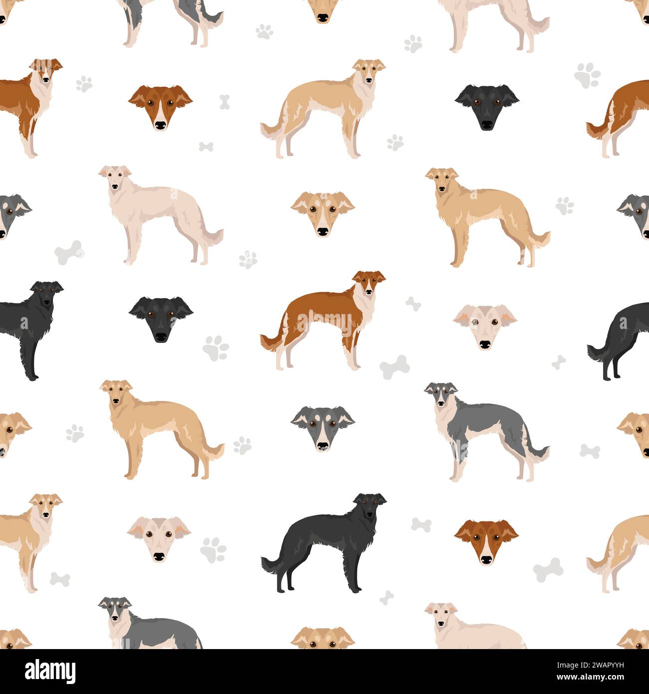 Silken Windhound seamless pattern. All coat colors set. All dog breeds ...