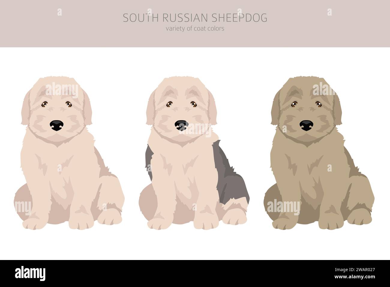 South Russian Sheepdog puppies clipart. All coat colors set. All dog ...