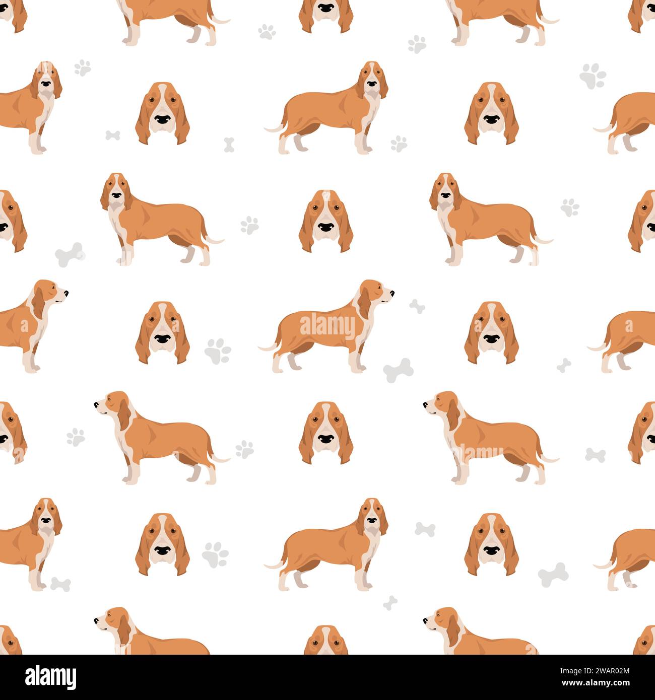 Spanish hound seamless pattern. All coat colors set. All dog breeds ...