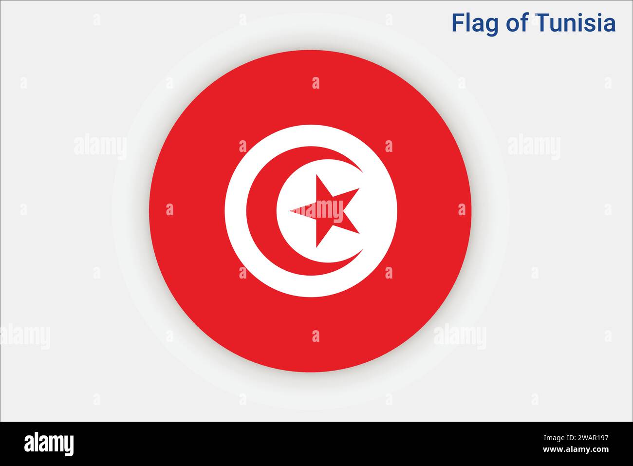High Detailed Flag Of Tunisia National Tunisia Flag Africa 3d