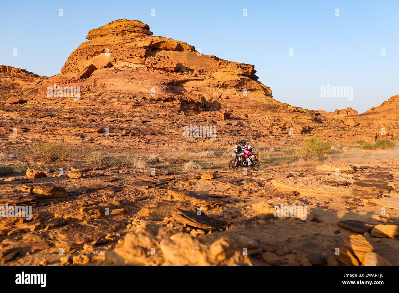 14 BUHLER Sebastian (ger), Hero Motorsports Team Rally, Hero, Motul ...