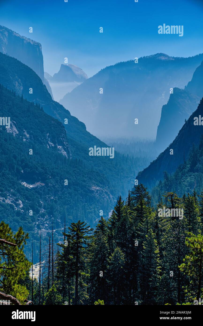 Yosemite National Park is home to three groves of impressive ancient ...