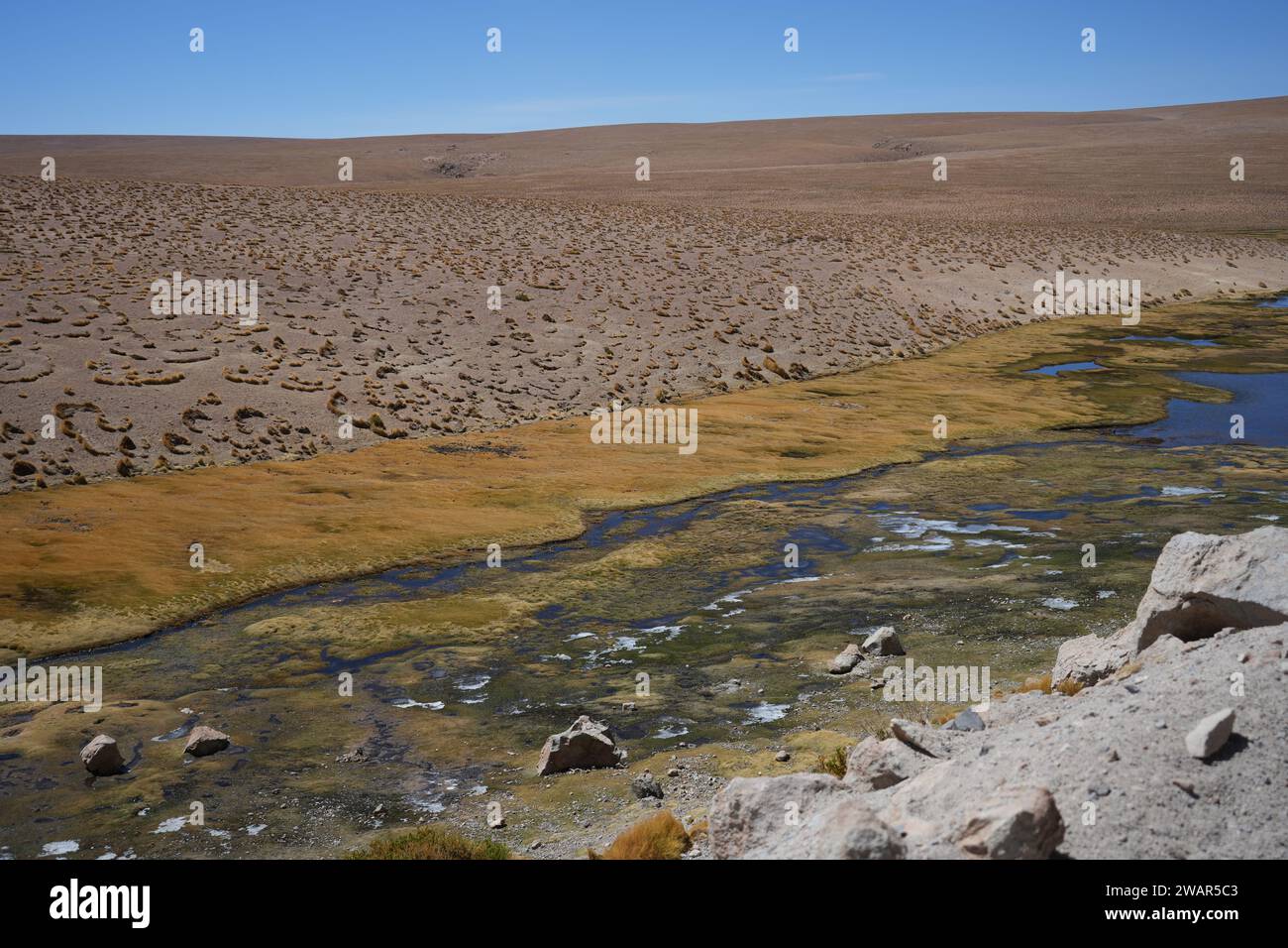 Stream in desert close hi-res stock photography and images - Alamy