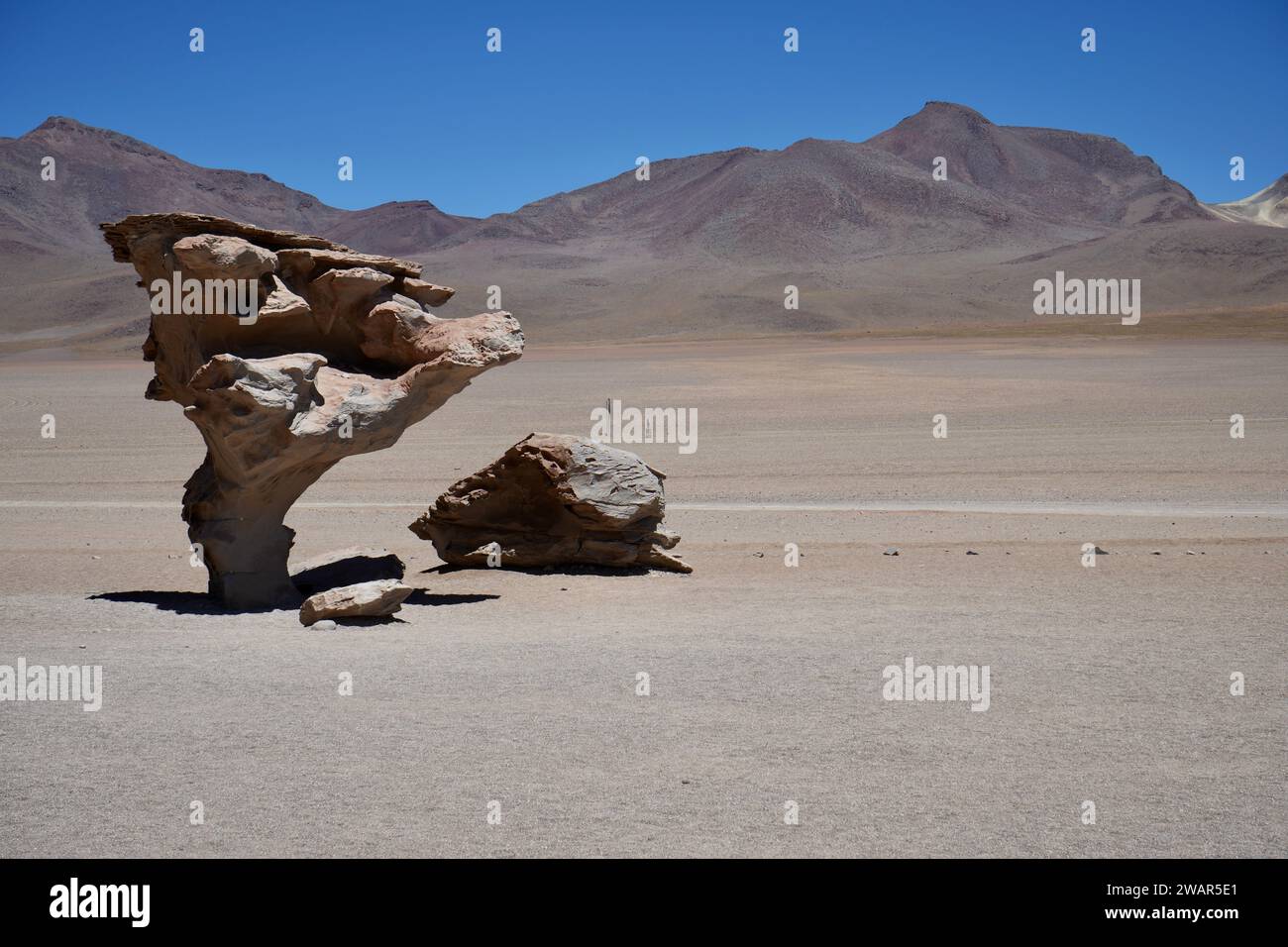 Rock tree hi-res stock photography and images - Alamy