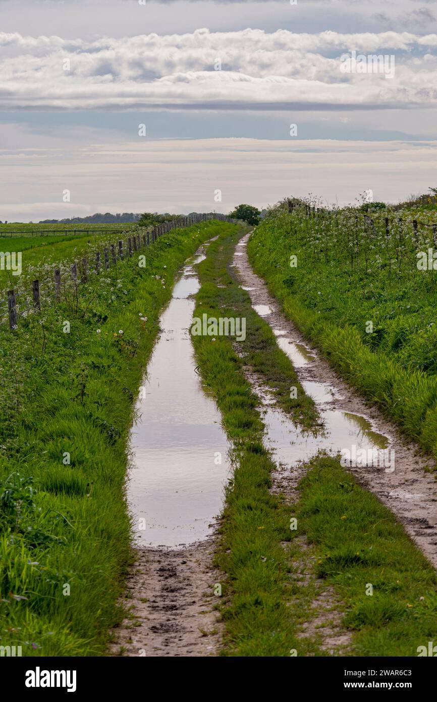 Sodden footpath hi-res stock photography and images - Alamy