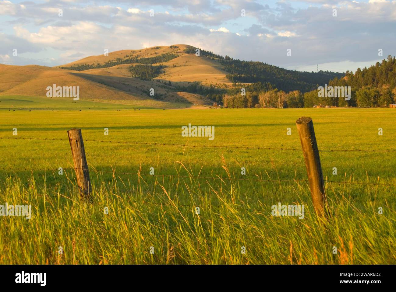 Powell county hi-res stock photography and images - Alamy