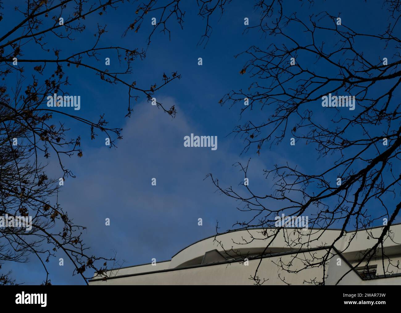 Parts of a white roof top of a modern building and a frame of leafless ...