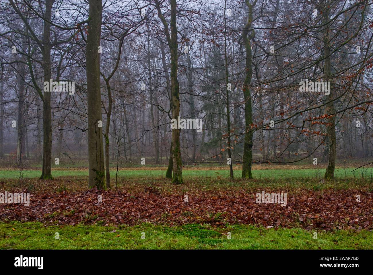 Ground scenery hi-res stock photography and images - Alamy