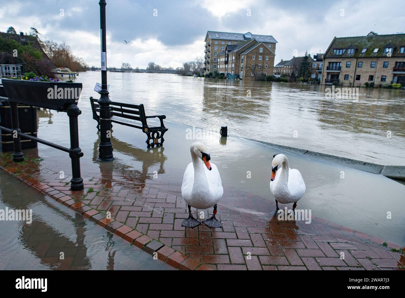St ives storm hi-res stock photography and images - Alamy