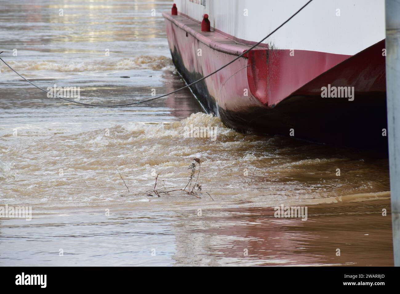 ferry still operating in the Rhine flood Stock Photo - Alamy