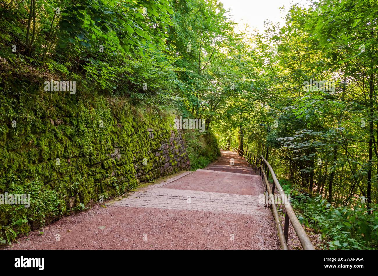 Wartburg castle unesco world heritage hi-res stock photography and ...
