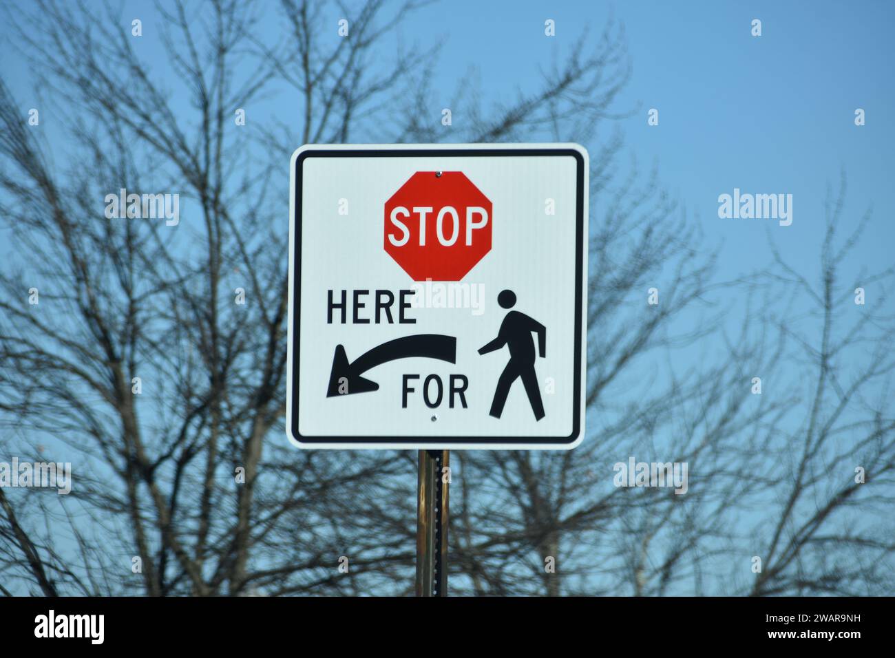 Stop here for pedestrians crossing sign Stock Photo - Alamy