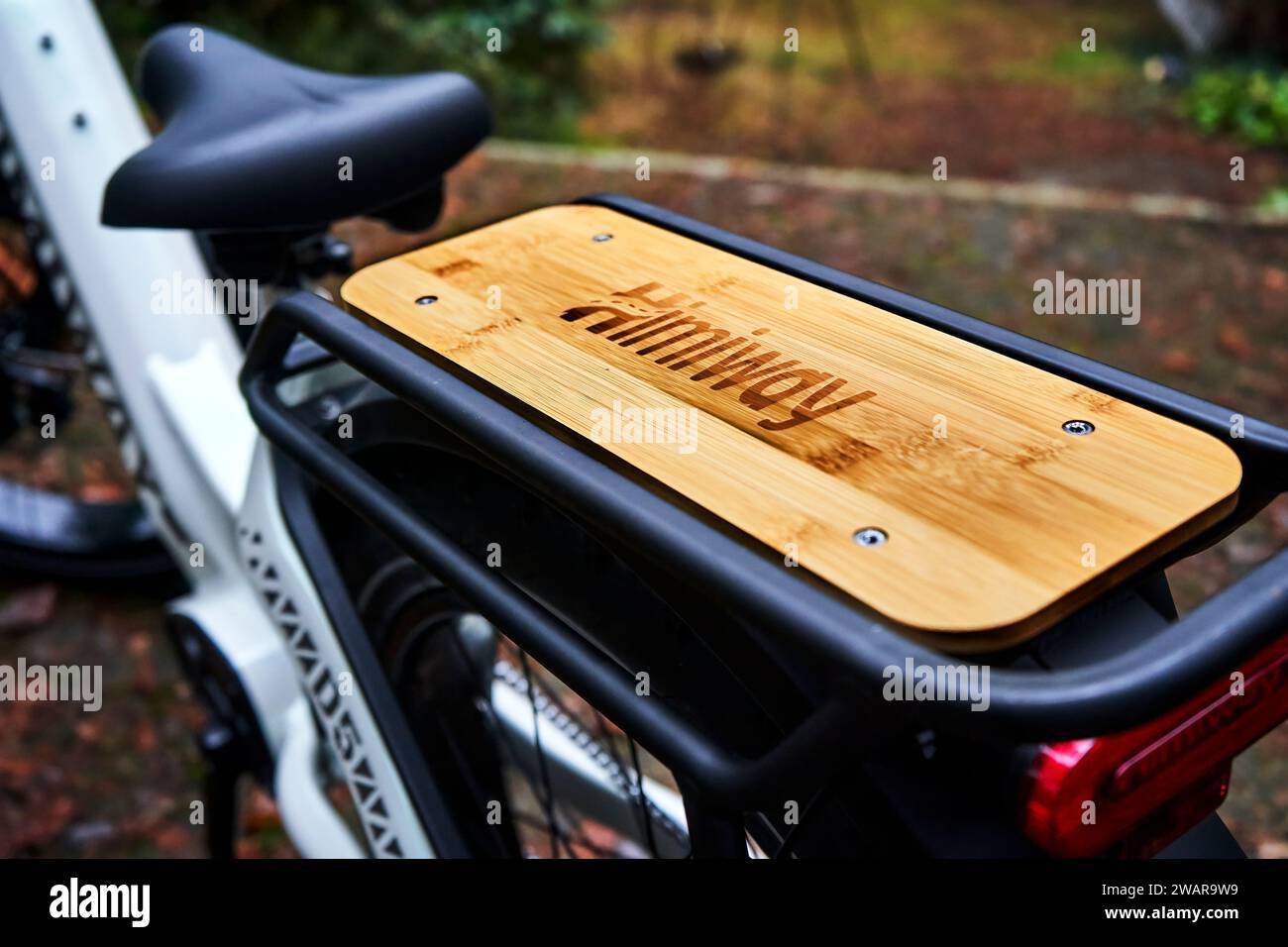 Himiway Zebra Electric Fat Bike - Rear View showcasing the distinctive ...