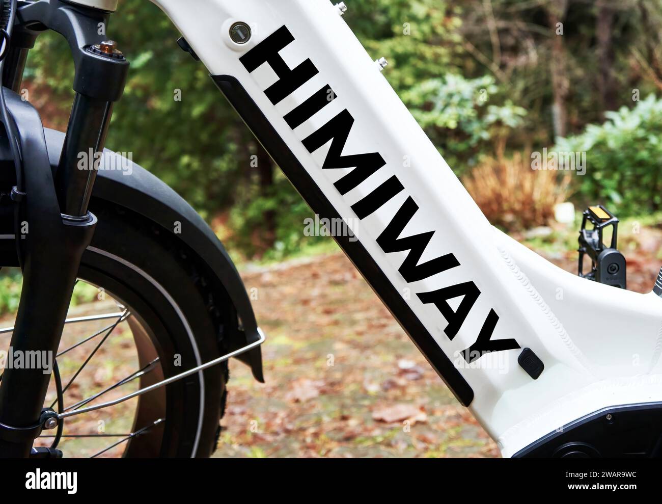 Himiway Zebra Electric Fat Bike - Side View of the Frame with ...