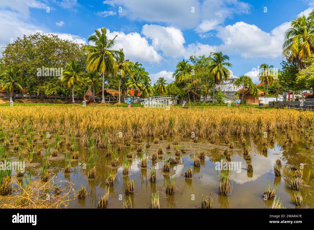 Laman Padi (Paddy Field) is an open-air museum in Langkawi, Kedah ...