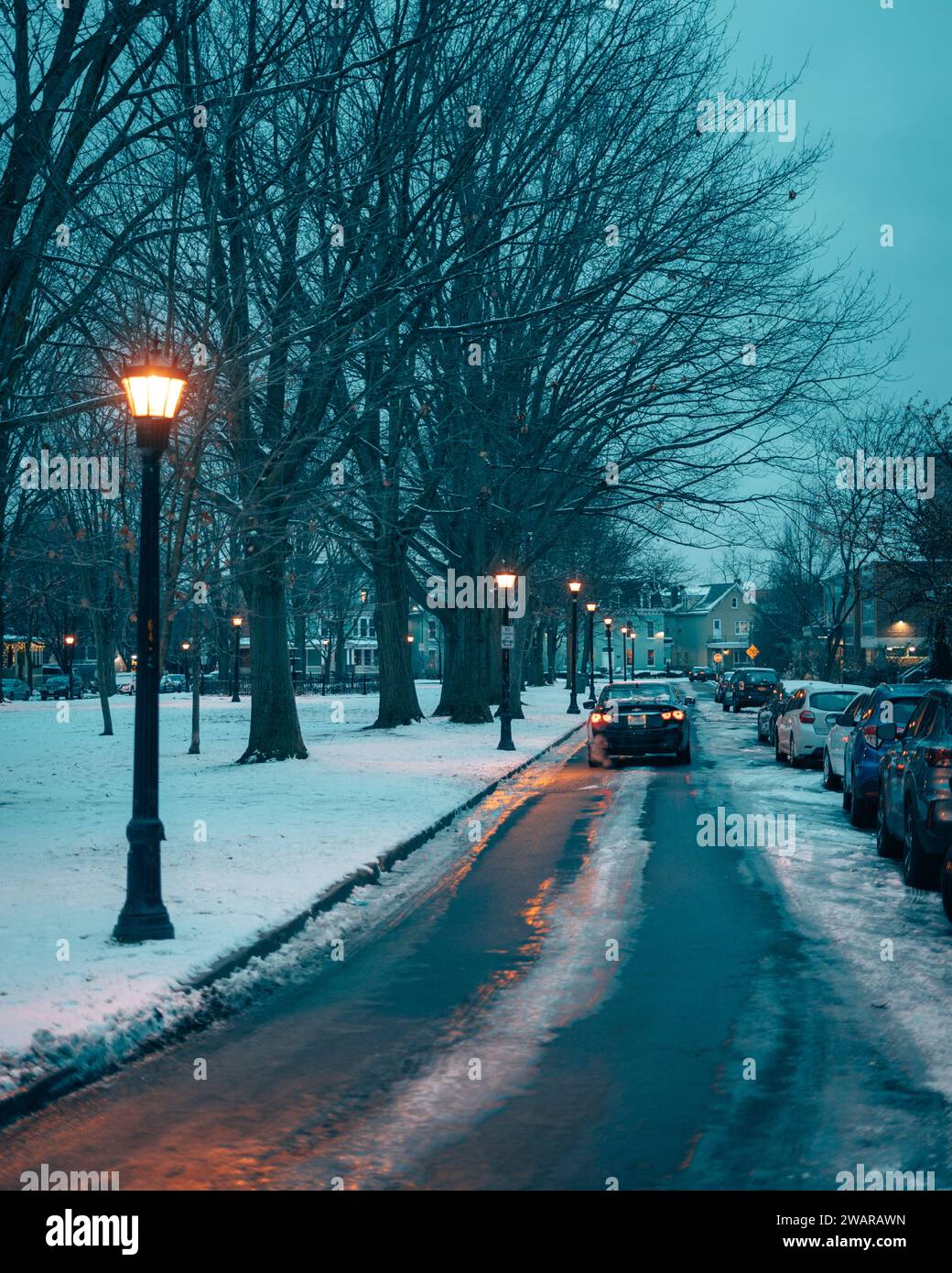 Snowy scene at Days Park, Buffalo, New York Stock Photo - Alamy
