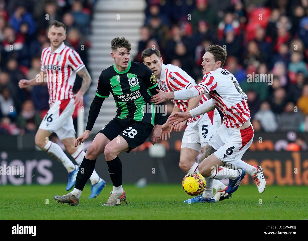 Stoke, UK. 6th Jan, 2024. Evan Ferguson of Brighton tussles with Wouter ...