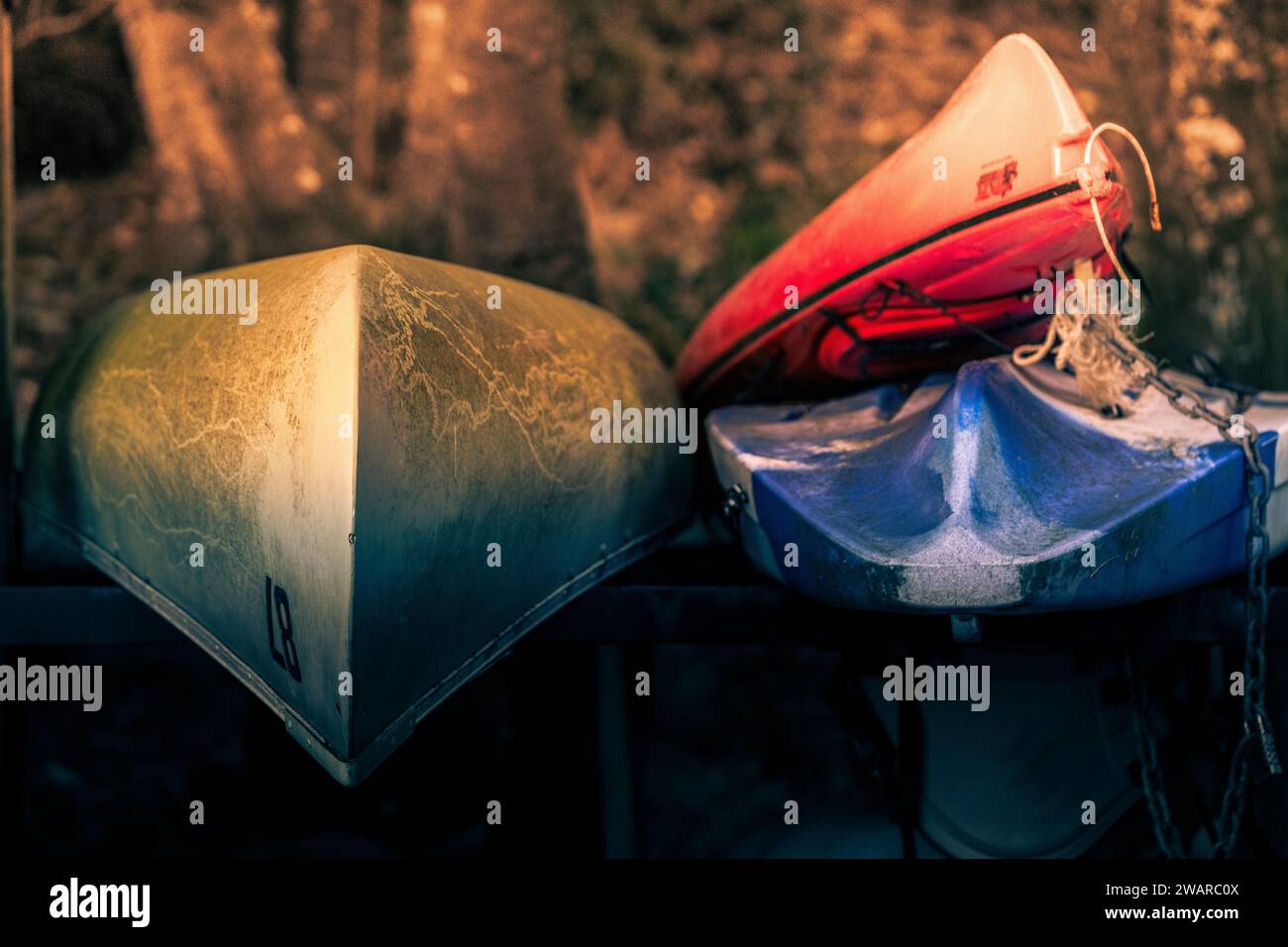 A collection of vessels tied to the ground in a harbor setting ...