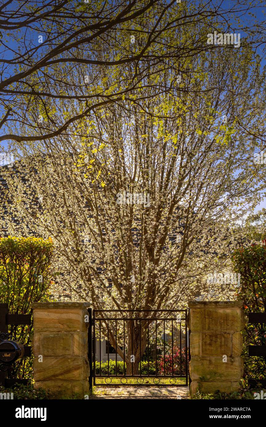 Tree barrier hi-res stock photography and images - Alamy