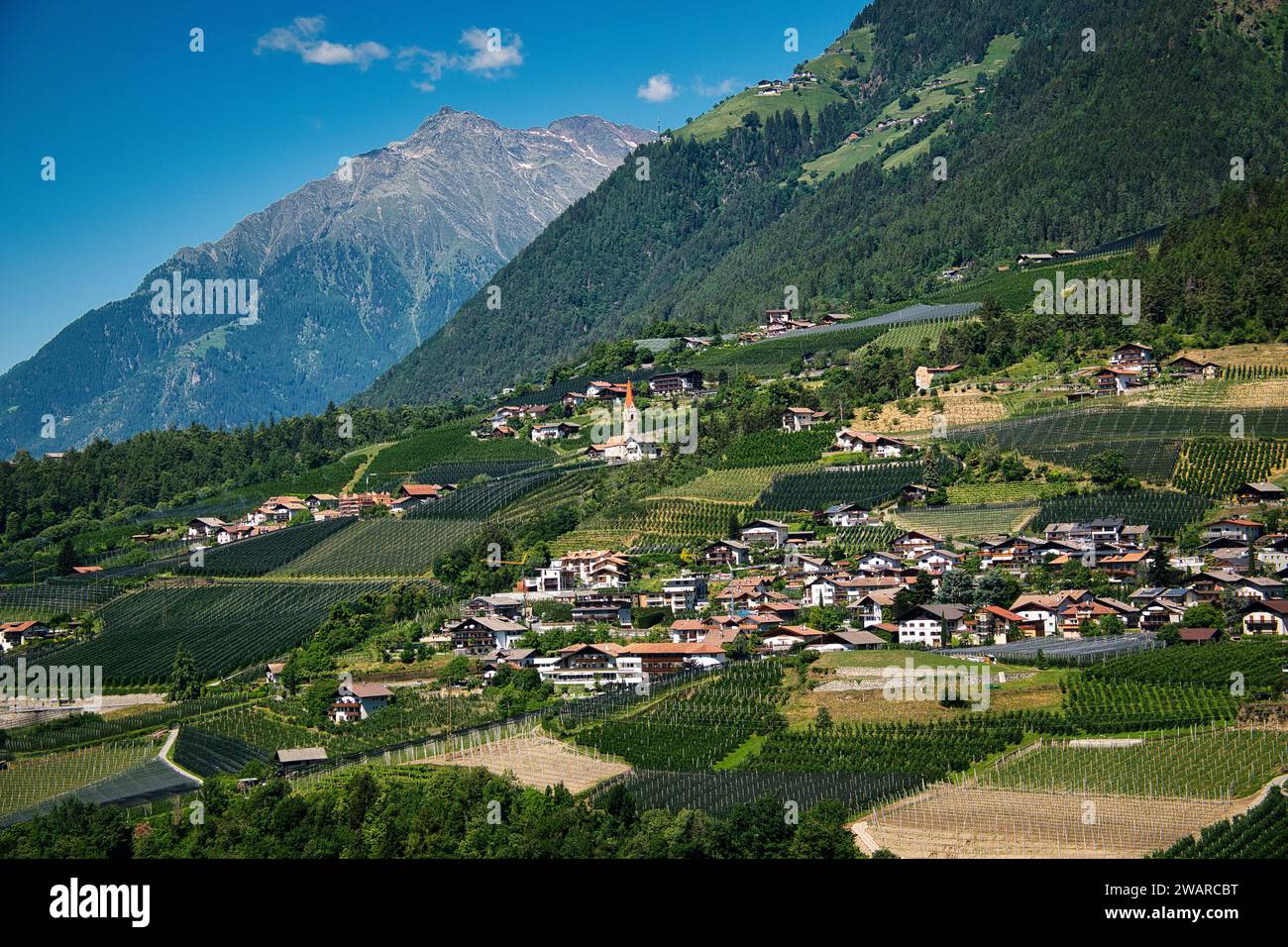 Alpineview hi-res stock photography and images - Alamy