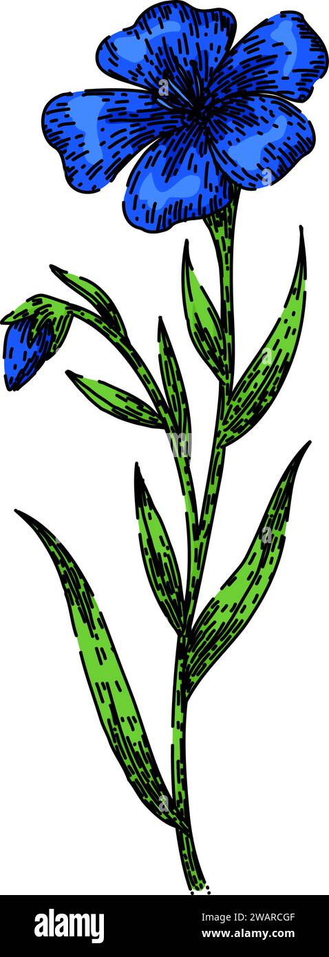 flower flax sketch hand drawn vector Stock Vector Image & Art - Alamy