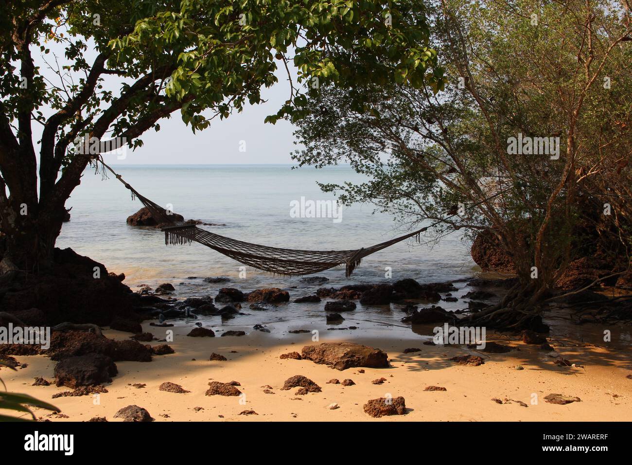 A hammock is tied between two palm trees on a sun-drenched sandy beach, creating a relaxing ...