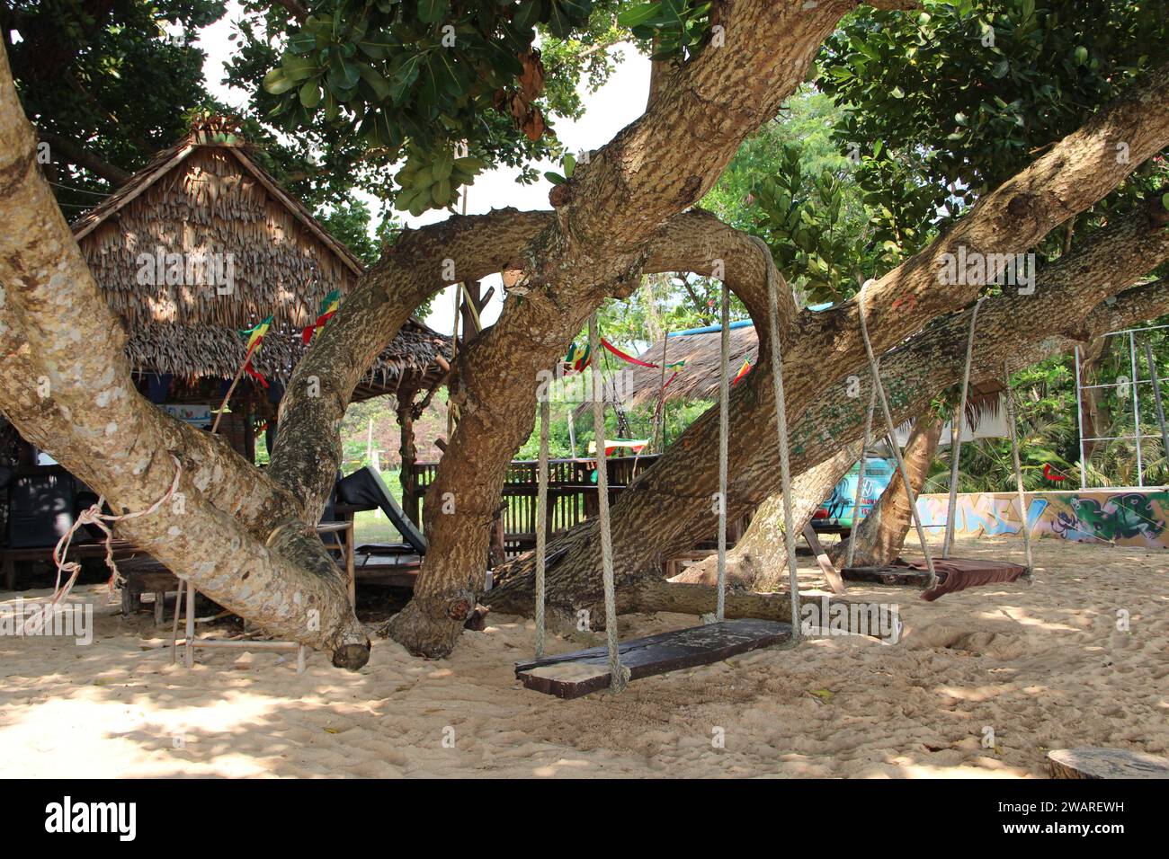 This image depicts a tree house built into the trunk of a tree ...