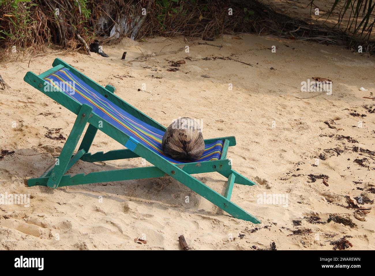 A gray-colored domestic cat lounging on a beach chair in the sand Stock ...