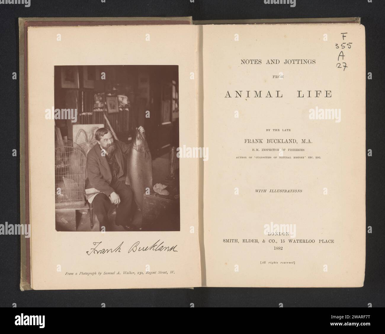 Portrait of Frank Buckland with a fish in the hand, Samuel Alexander ...