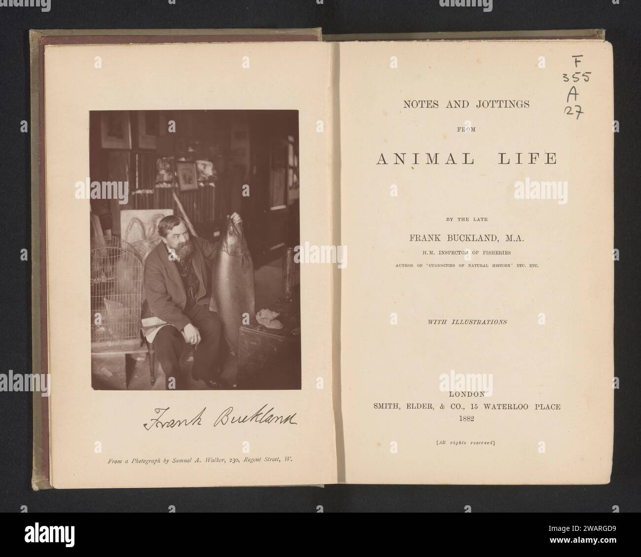 Notes and jottings from animal life, Frank Buckland, 1882 book London ...