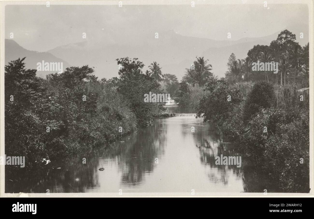 River face in the tropics, 1920 - 1940 photograph unknown photographic ...