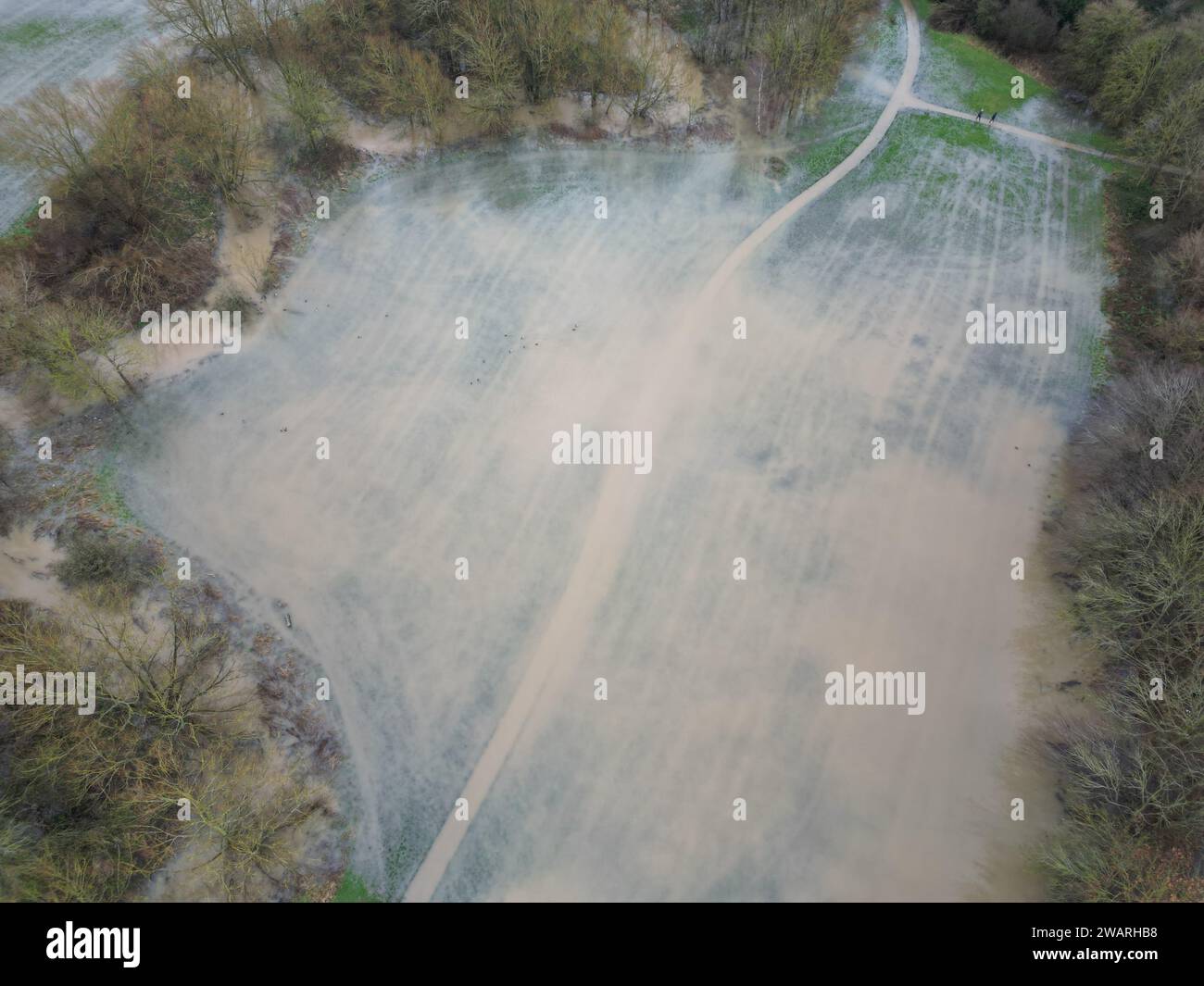 A rural landscape featuring a dirt road lined with lush green bushes ...