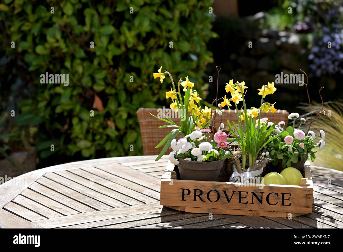 Spring arrangement with daffodils and daisies on a wooden table in the ...