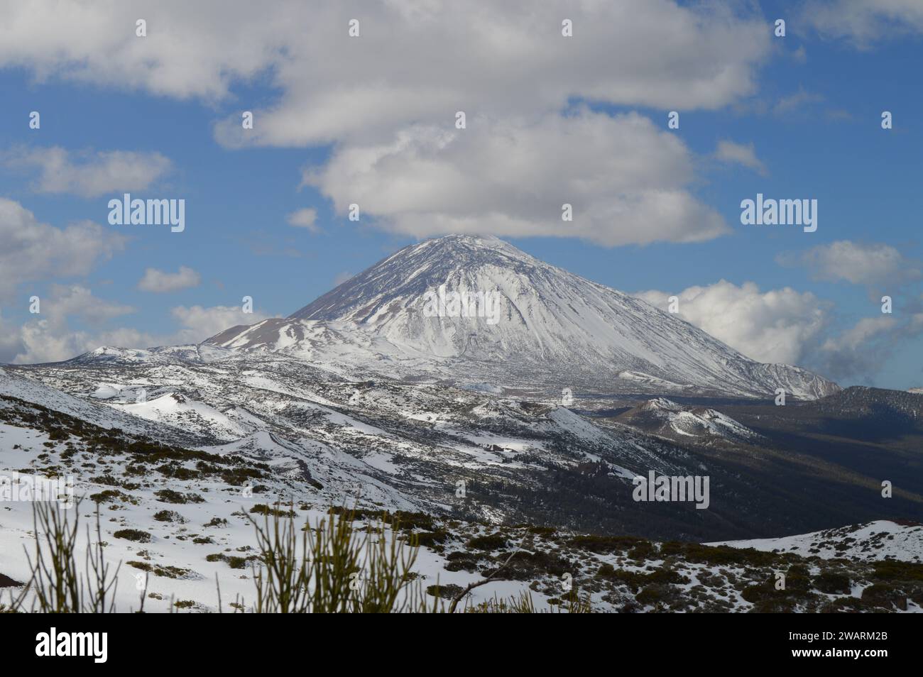 Fondo de pantalla de canarias hi-res stock photography and images - Alamy