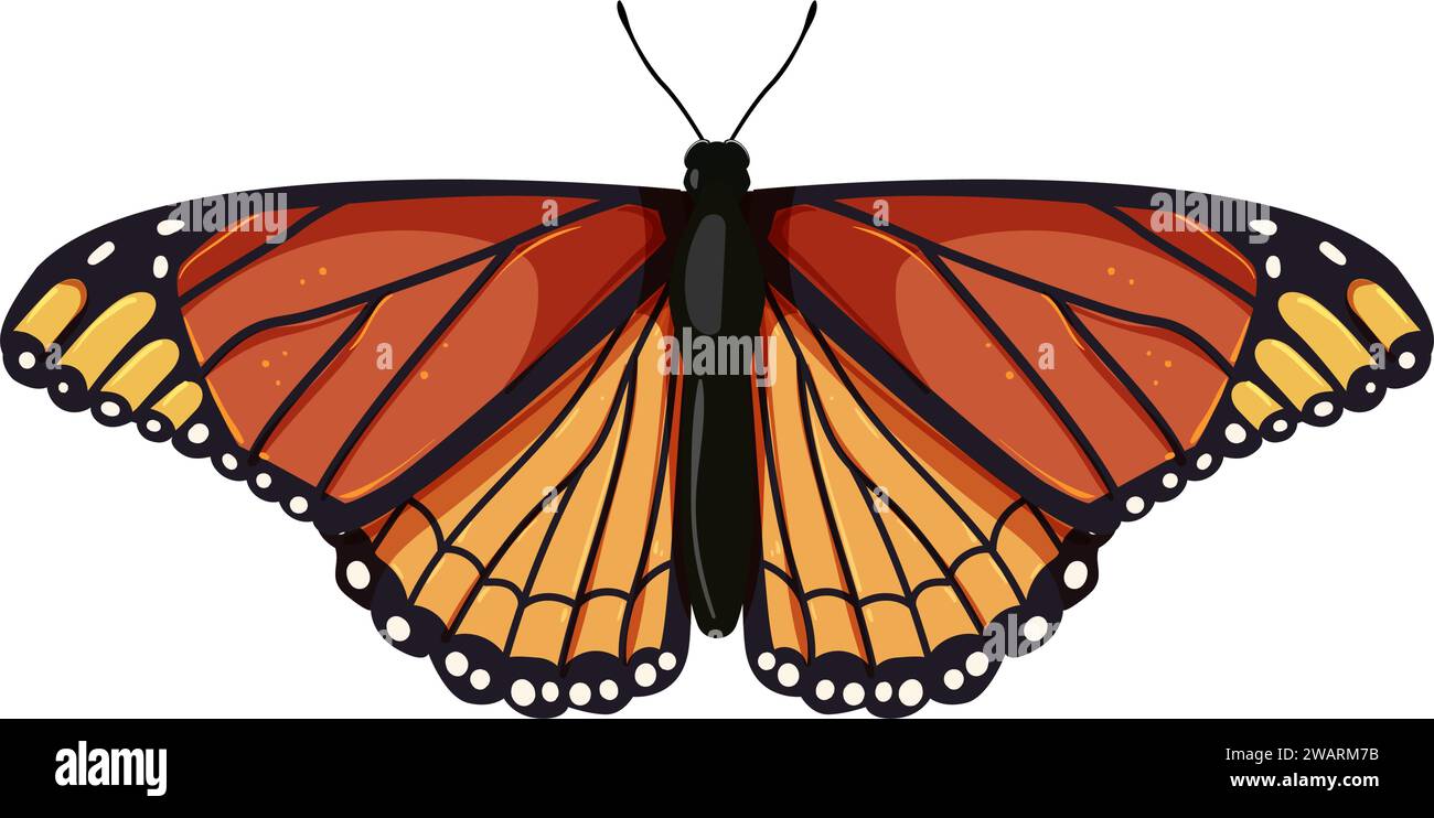 animal butterfly cartoon vector illustration Stock Vector Image & Art ...