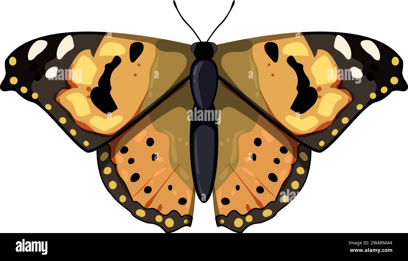spring butterfly cartoon vector illustration Stock Vector Image & Art ...