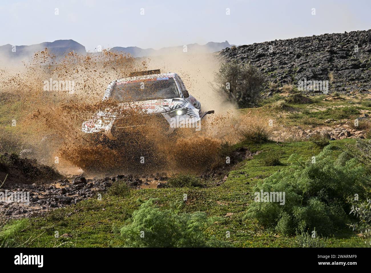 227 AMOS Eugenio (ita), CECI Paolo (ita), Overdrive Racing, Toyota ...