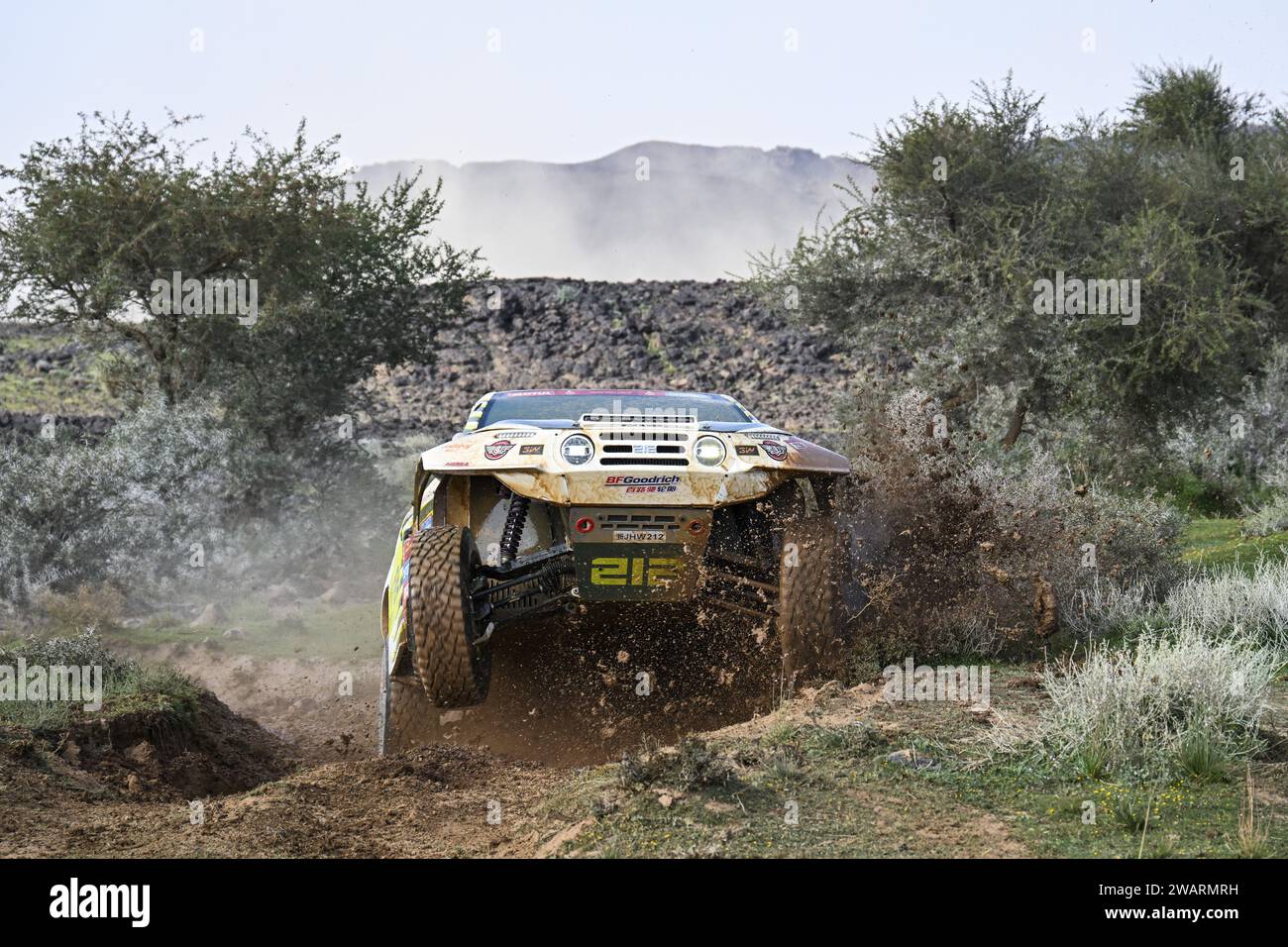 218 HAN Wei (chn), MA Li (chn), Hanwei Motorsport Team, Red-Lined ...