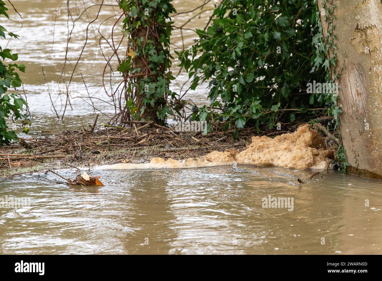 Old Windsor, UK. 6th January, 2024. Foam on the River Thames in Old ...